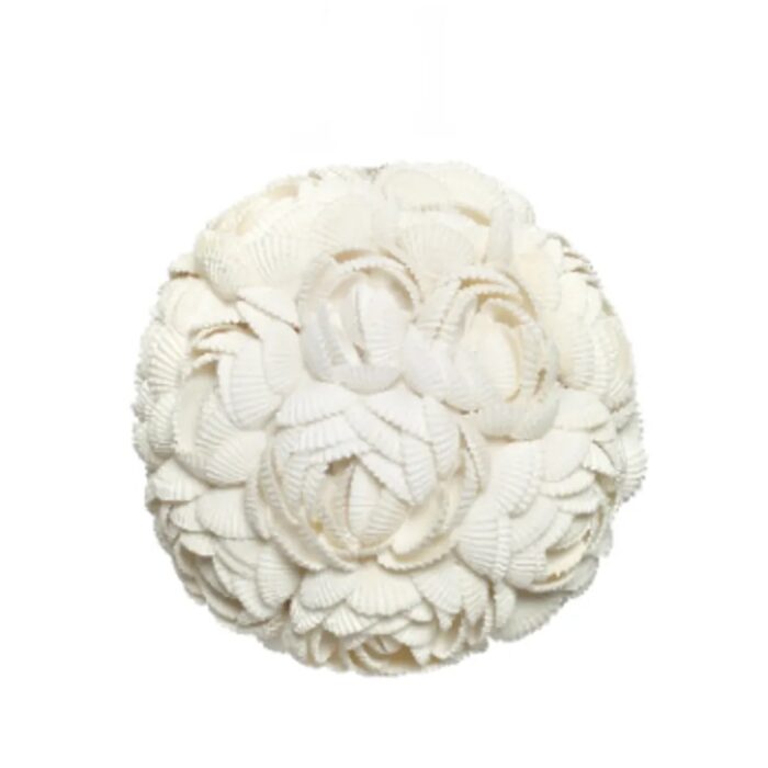 11 Ways to Decorate With Seashells for a Breezy Coastal Home - Saffron ...