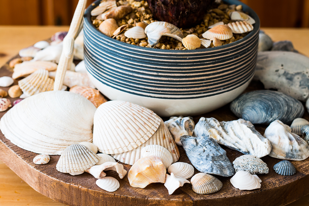 11 Ways to Decorate With Seashells for a Breezy Coastal Home - Saffron ...